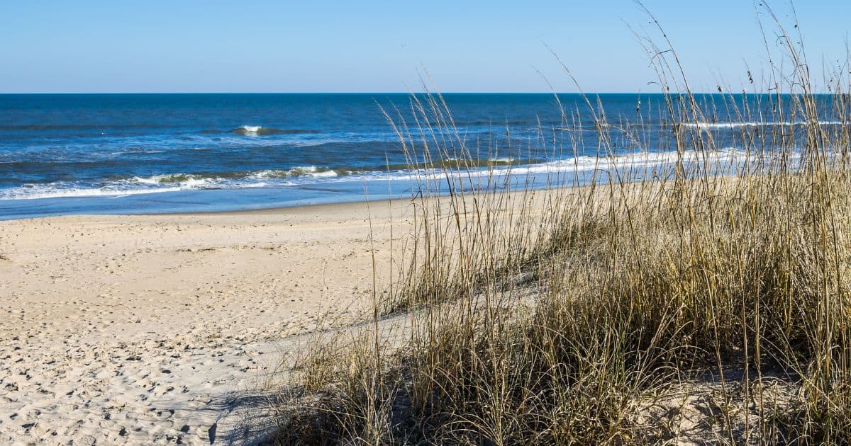 Explore the Best of Virginia Beach: A Guide to 30 Must-Do Activities ...