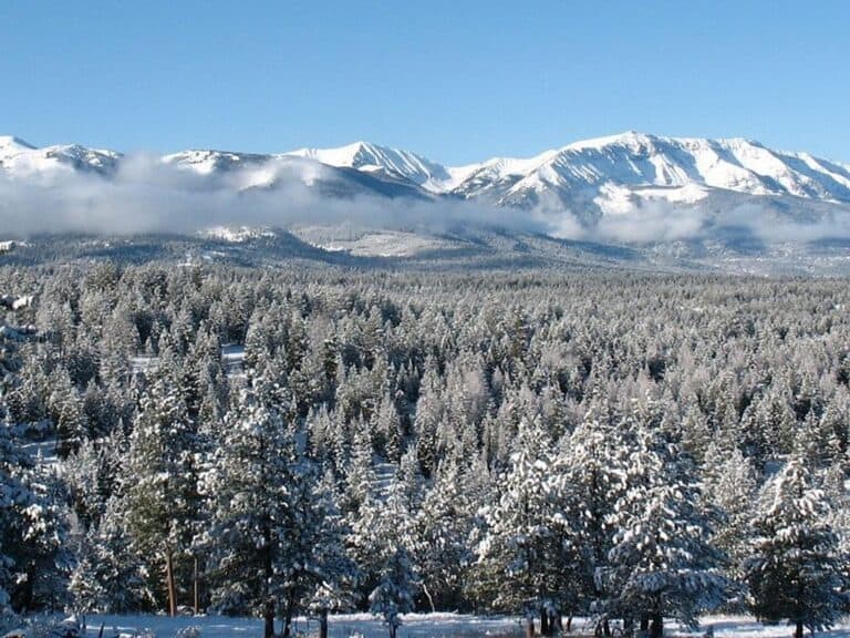 Top 10 Things to Do in Colorado Springs in December – Don’t Worry Go Travel